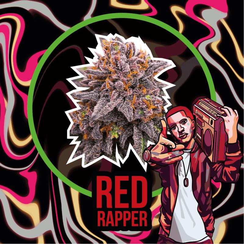 DELIRIUM SEEDS RED RAPPER 4UDS – Growshop Delaferia Chile